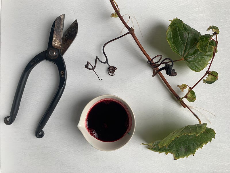 Wild Grapes - by Toronto Ink Company