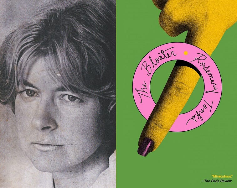 Review: Anakana Schofield on Rosemary Tonks - Book Post