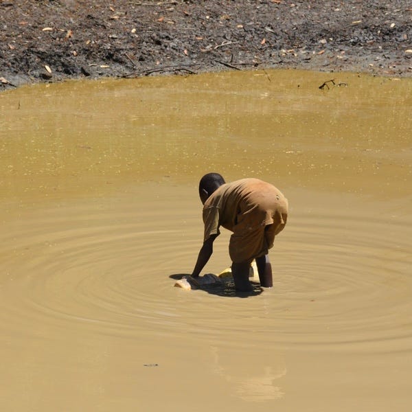 this World Toilet Day, start a movement. - @neorsd substack