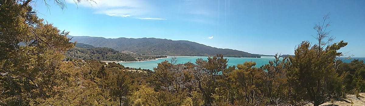 Memia 2022.50: 2022 year in review🤯// chaos monkeying around🐒// as low ...