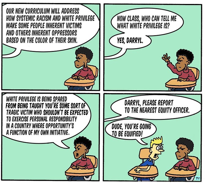 Cartoon: "White Privilege" - Big Picture by Paul Taylor