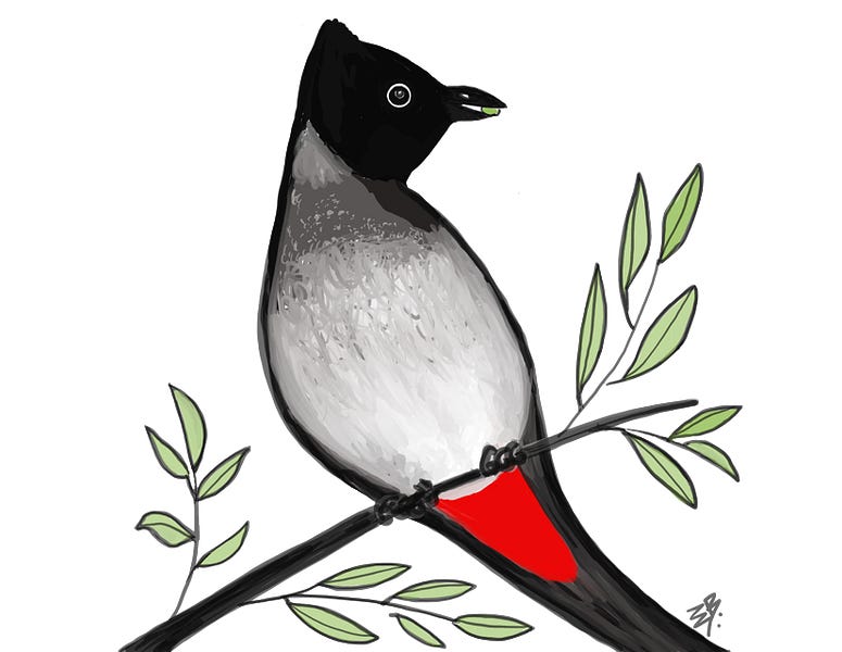 The Tale of Tuntuni and the Barber: a folktale from Bengal, by ...