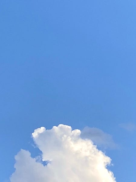 Three things of August - by Jes Kalled - Swallow