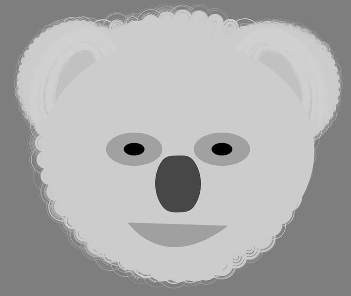 Koality work and new Koalifications - Tara’s Newsletter