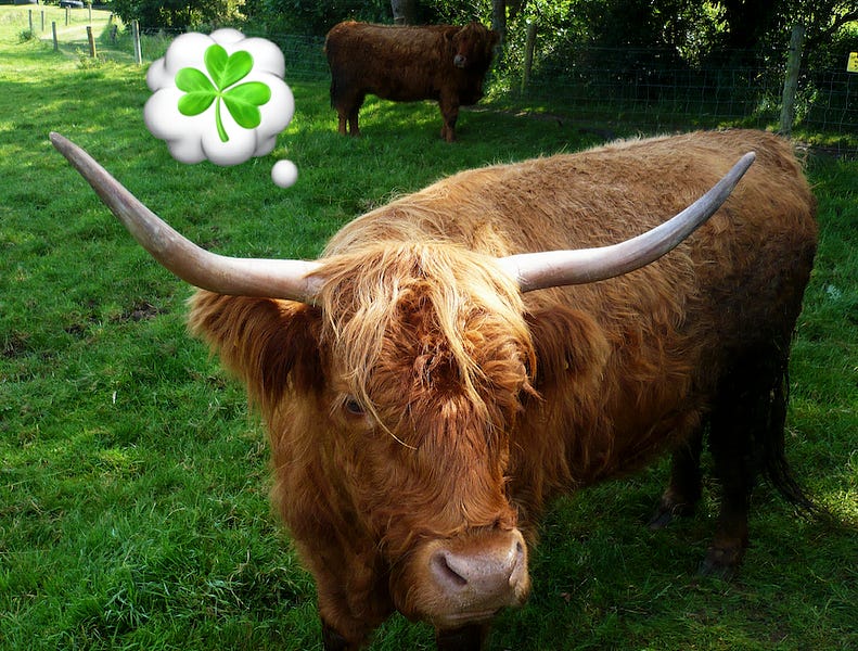 When logic goes brogue - by Benjamin Errett - Get Wit Quick