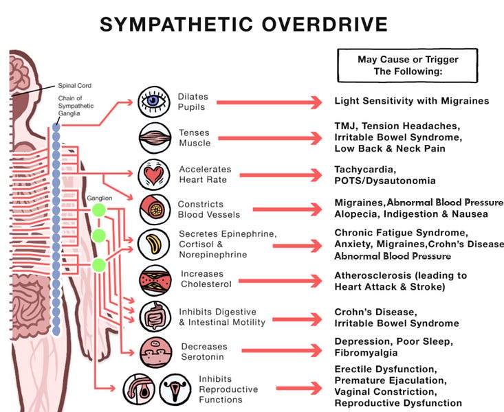 THE AMYGDALA, SYMPATHETIC OVERDRIVE AND ELEVATED CATECHOLAMINE LEVELS ...