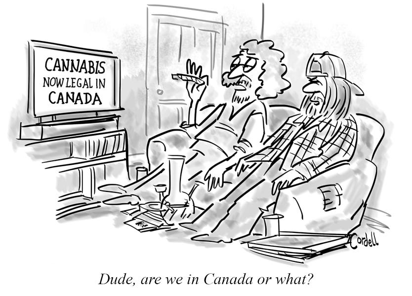 MSOS: MacroDoζer Summer Special 4/5 - by Juri von Randow