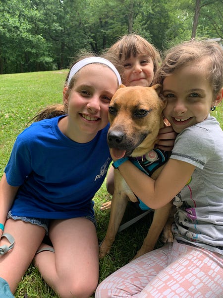 Rest In Peace, Ginger - by Jane Ehrenfeld