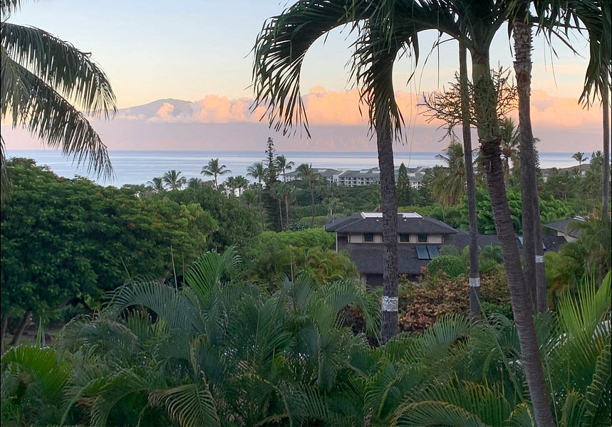 Case Study: Whale House (Hawaii) - Supernuclear