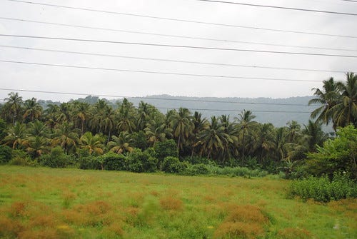 Postcards from Kerala - by admin - Bombaylives