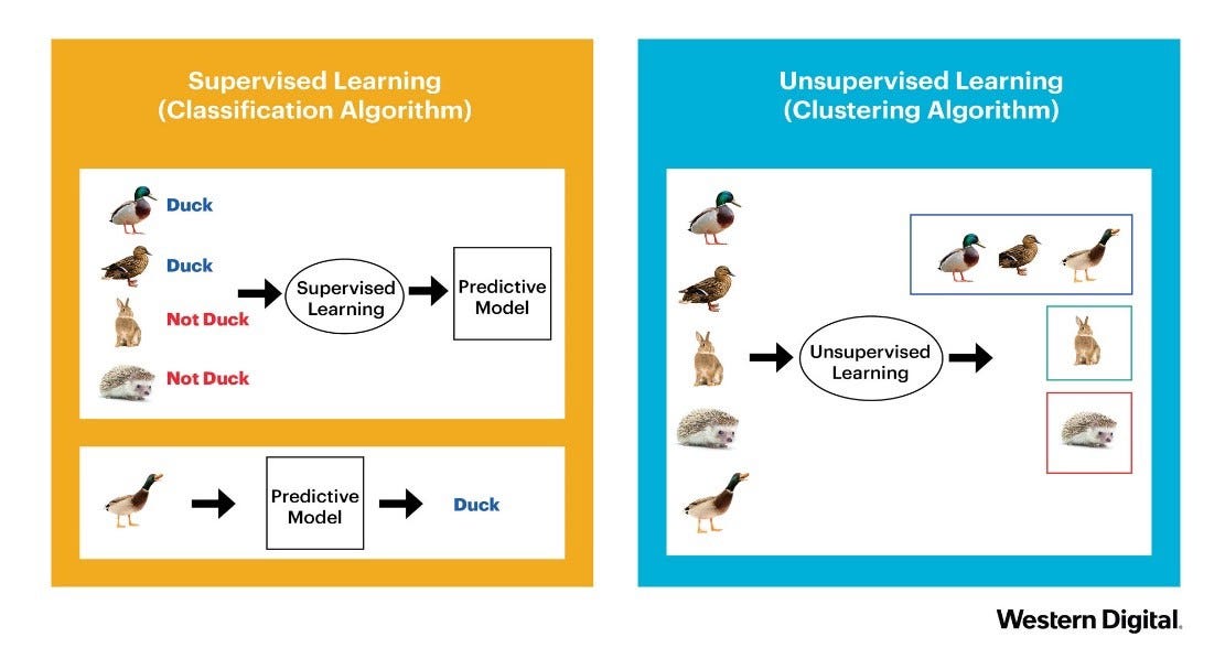 Từ Vựng Ai Supervised Learning Unsupervised Learning Học Có Giám Sát Học Không Giám Sát