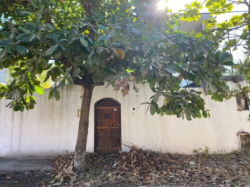 Making Writing a Priority - by Susannah Rigg