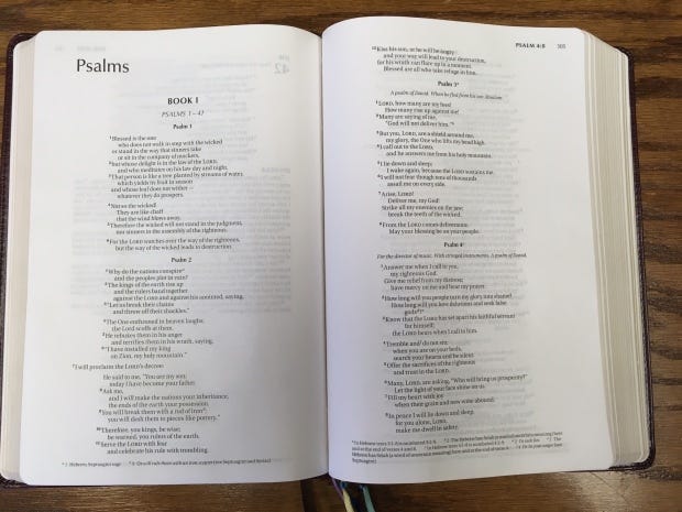 Review of 'NIV Single-Column Bible' - by George P. Wood