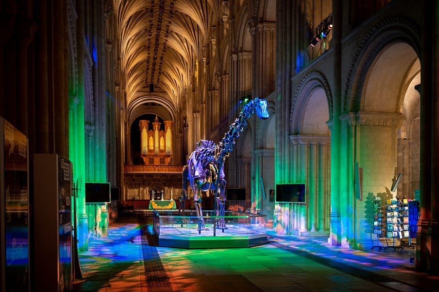 Dippy, dollar & David Attenborough - maxwell museums