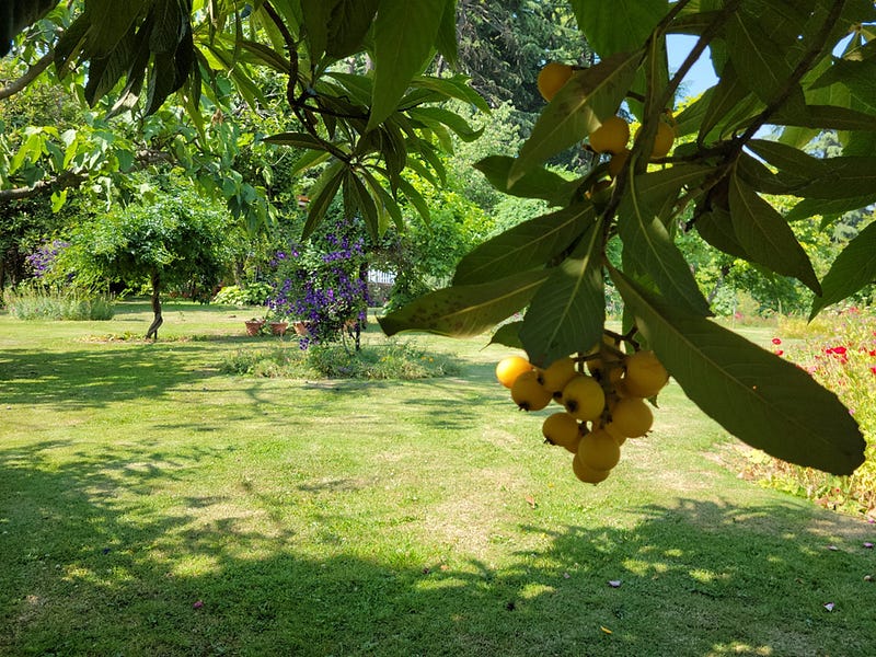 Animal Farming and Protein - Vasant Dhar's Brave New World