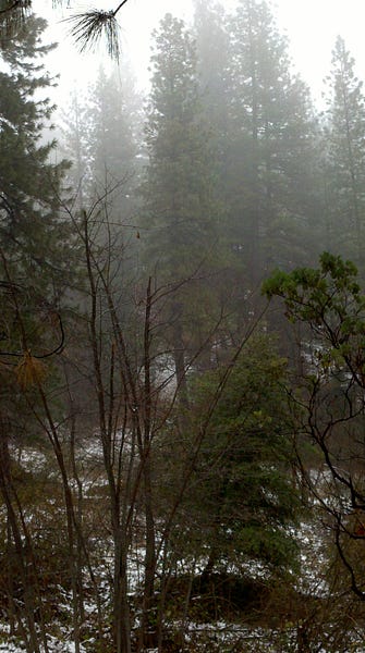 Manipulation - by Athena Walker - Eye of the Storm