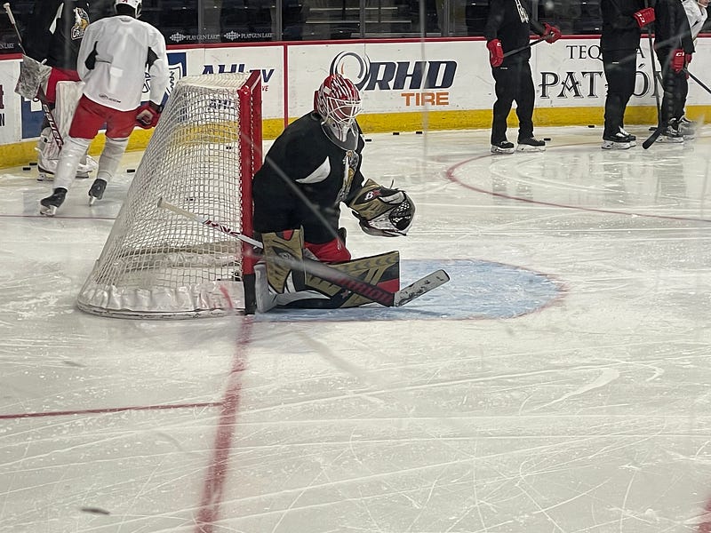 Magnus Hellberg's story is one of the best in the NHL this season