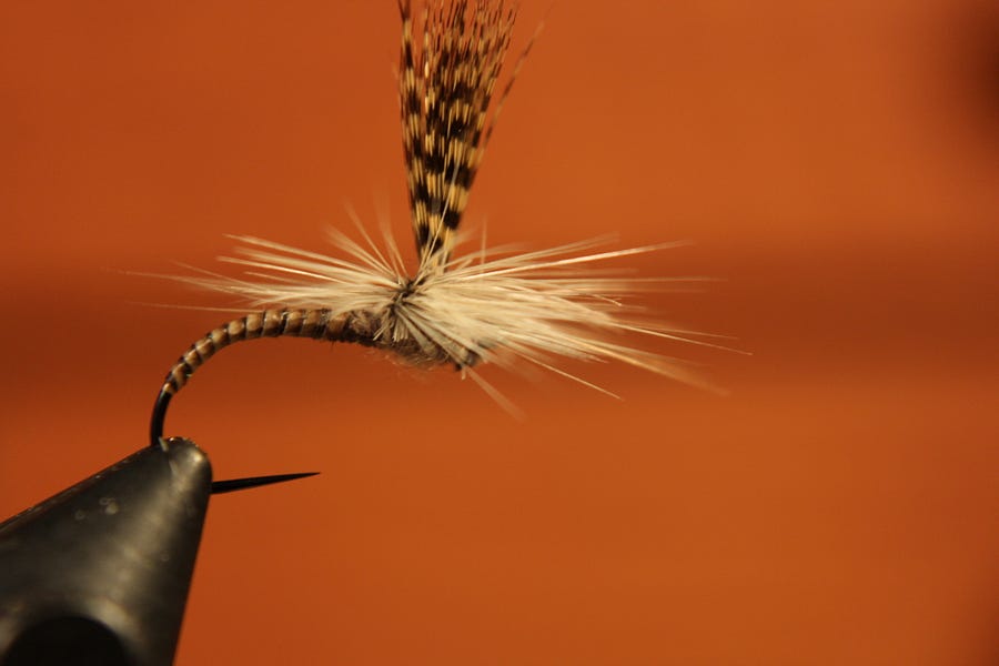 Fly Fishing Memoirs - by David Brenna