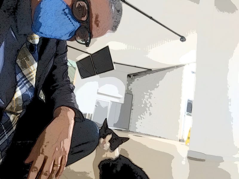 A Valsa do Reencontro - by Claudio D. Shikida