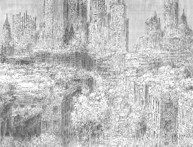 A Drawing, Not a Picture - New York Review of Architecture