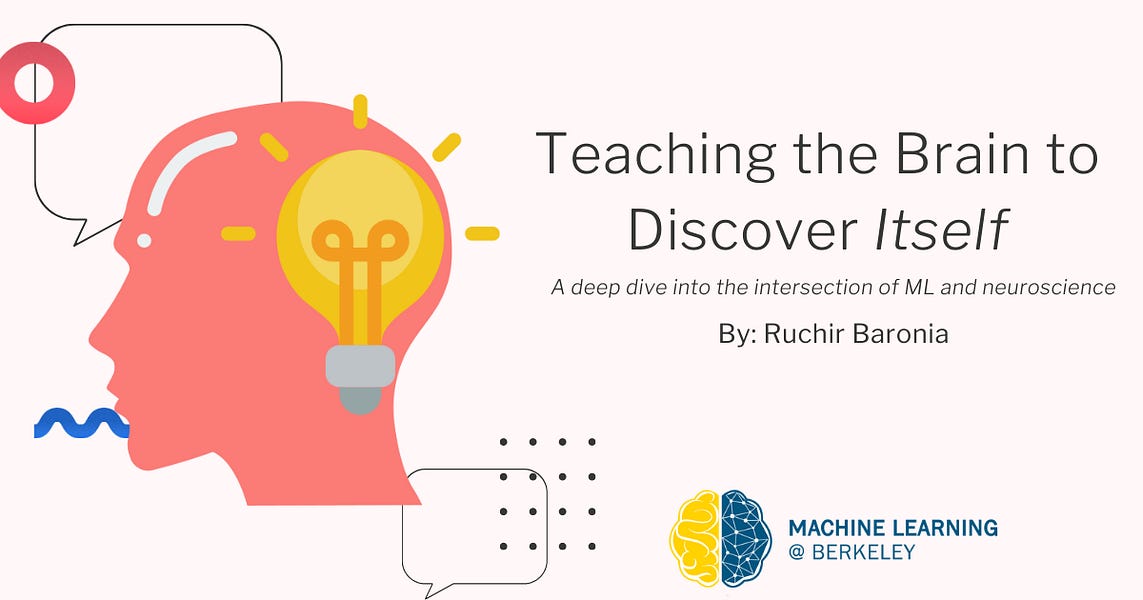 Teaching the Brain to Discover Itself