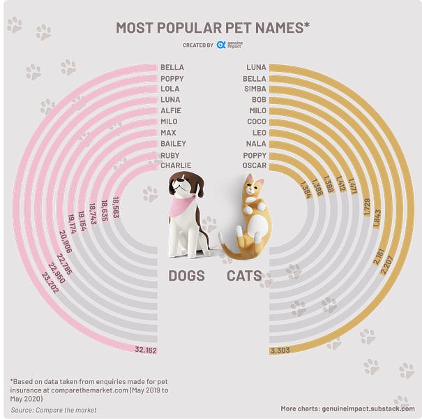 Paw-some pet charts 🐱🐶 - by Amara