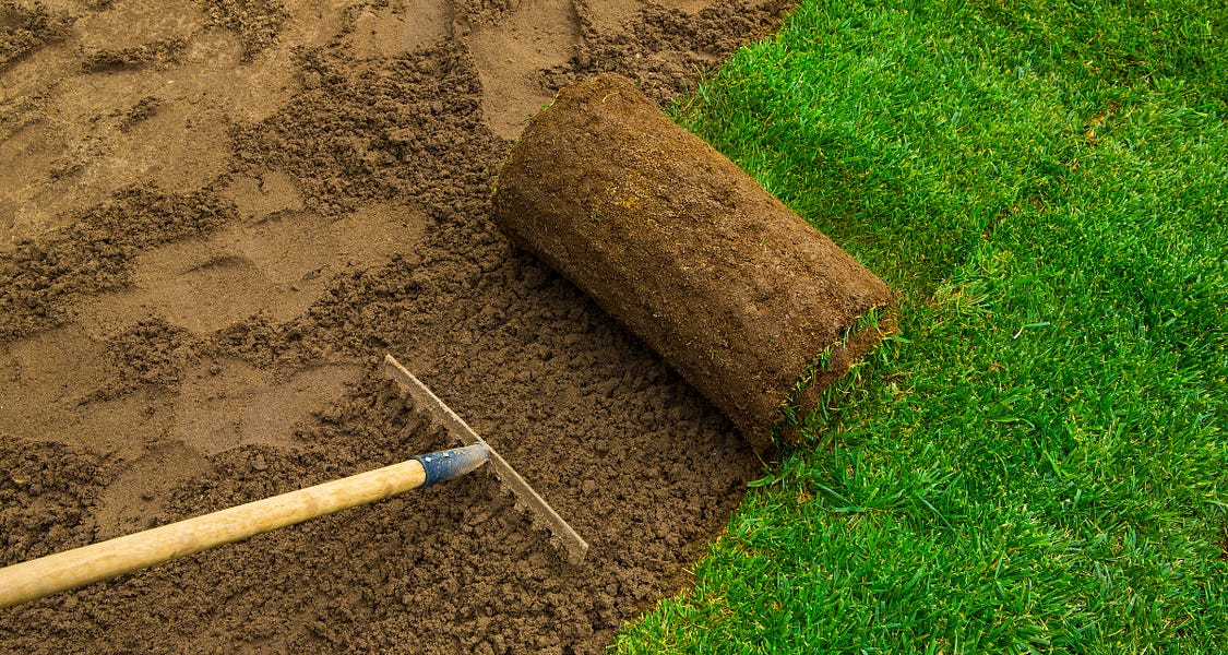 Here’s A Wild Idea That’s Taking Root