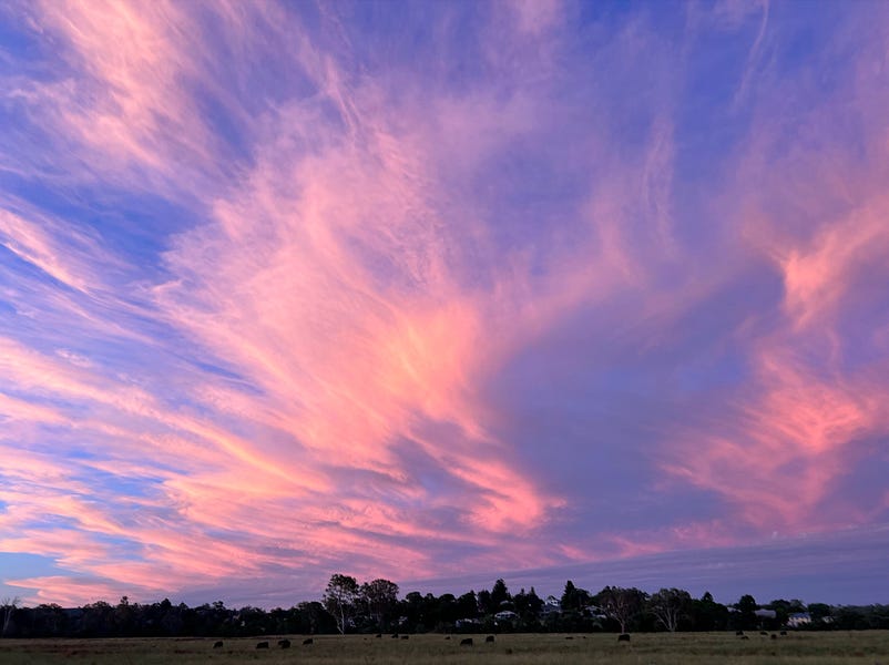 The Logical Song - by Rick Morton - Nervous Laughter