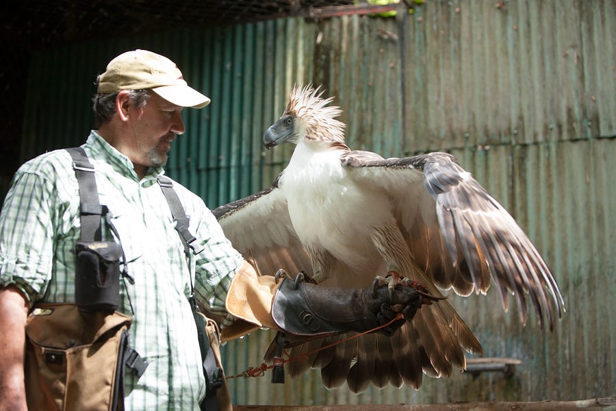 Falconry and Raptor Conservation - by Jay Card
