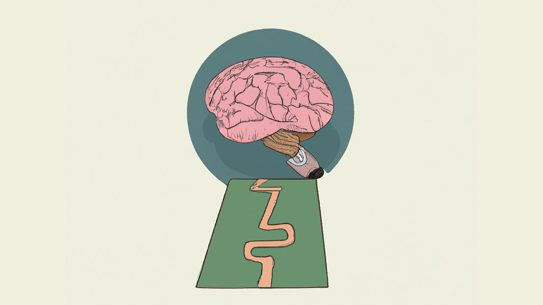 Schemas and the Political Brain - by Brian Klaas