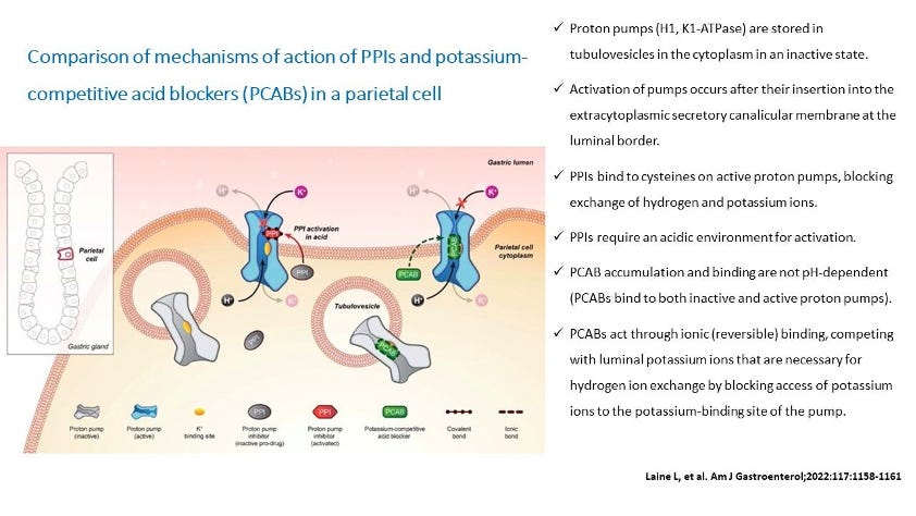 Mechanism of action of PCABs (Potasium-Competitive Acid Blockers)