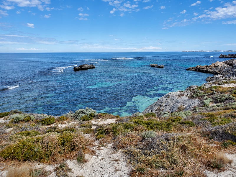 Wanderings in Whadjuk Country - by JP - Bush Food Forager