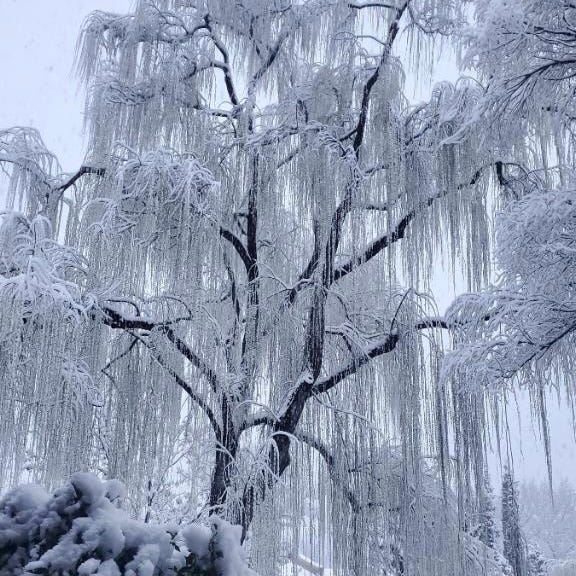 The Letter, 22 - by Kristen SaBerre - The Letters K