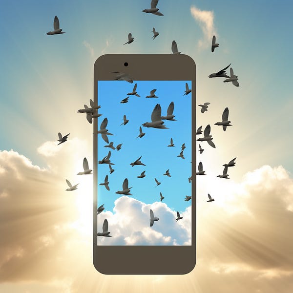 Why Bluesky Is The New Hotness By Alex Kantrowitz