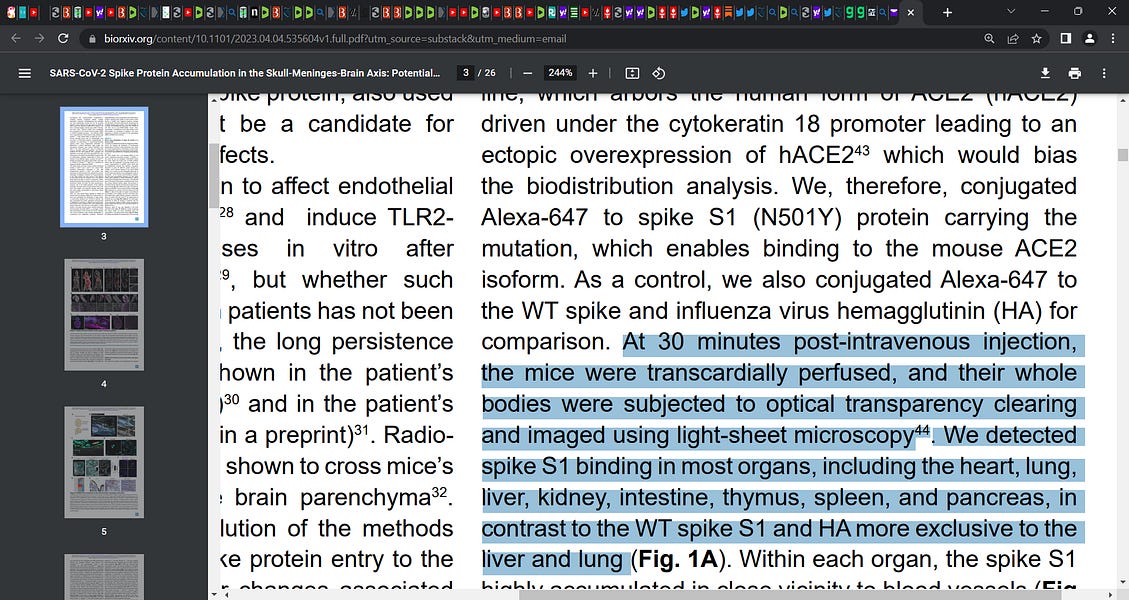 Is spike protein from the mRNA technology based gene injection (Moderna ...