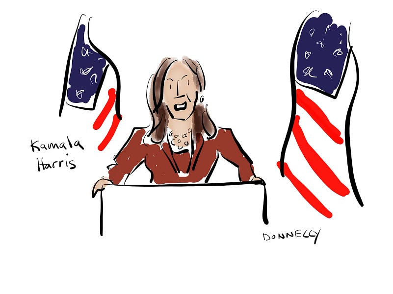 Women In Politics - by Liza Donnelly - Seeing Things