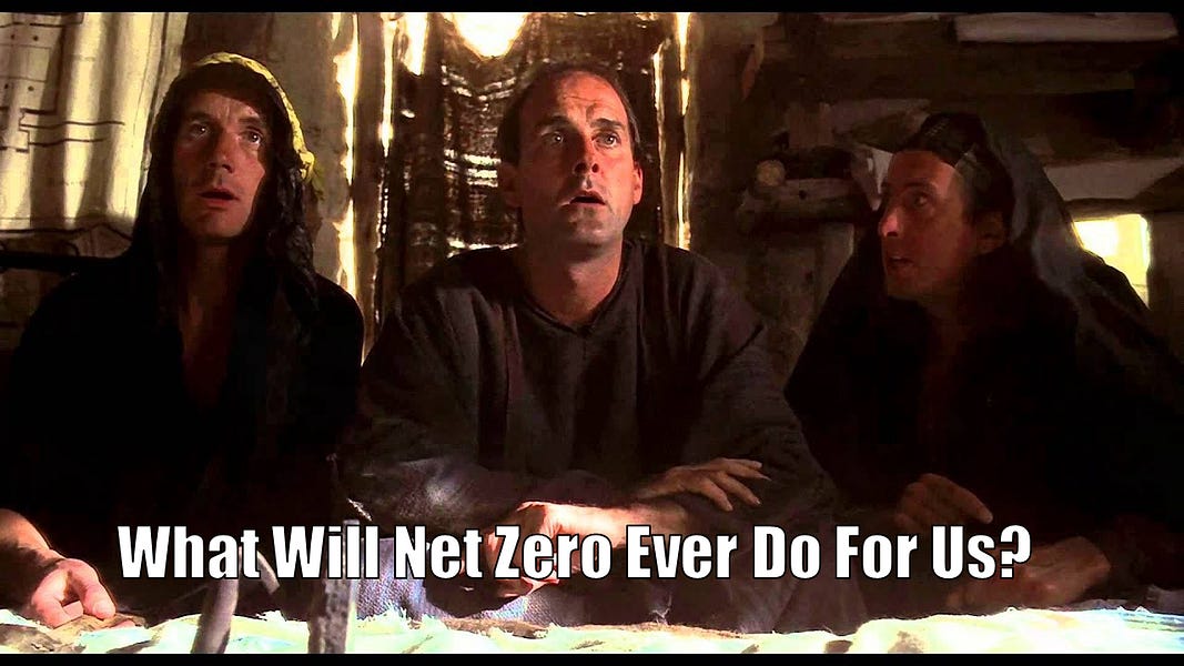 What Will Net Zero Ever Do For Us? - by David Turver
