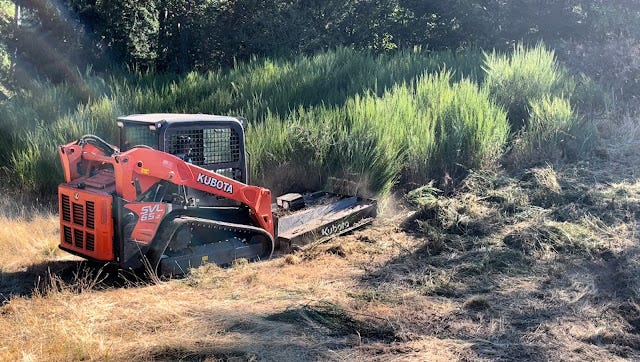 Brush Mowing Trial - by T-Jay Creamer