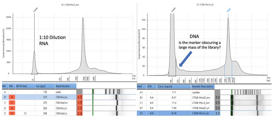 Sequencing of bivalent Moderna and Pfizer mRNA vaccines reveals ...