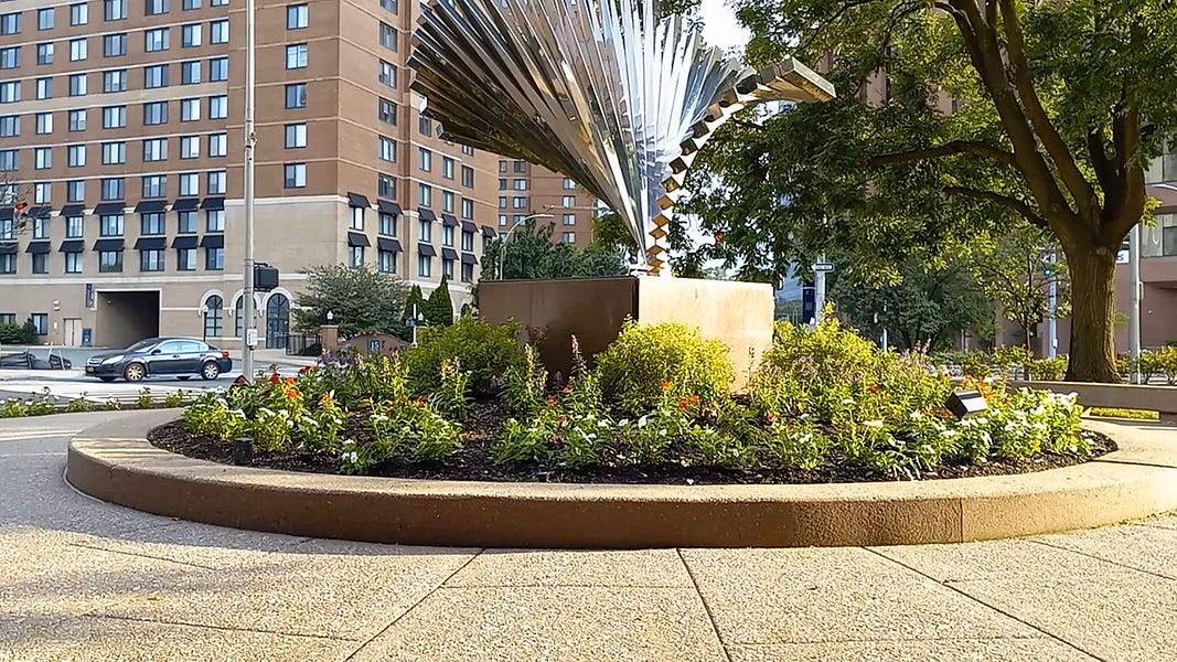 PCS Nation: Shaved Bush Park Report - PCS Nation