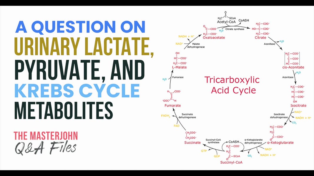229: A question on urinary lactate, pyruvate, and Krebs Cycle metabolites