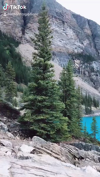 Nature vs. Civilization - by Jack Everly - The Mighty Pen