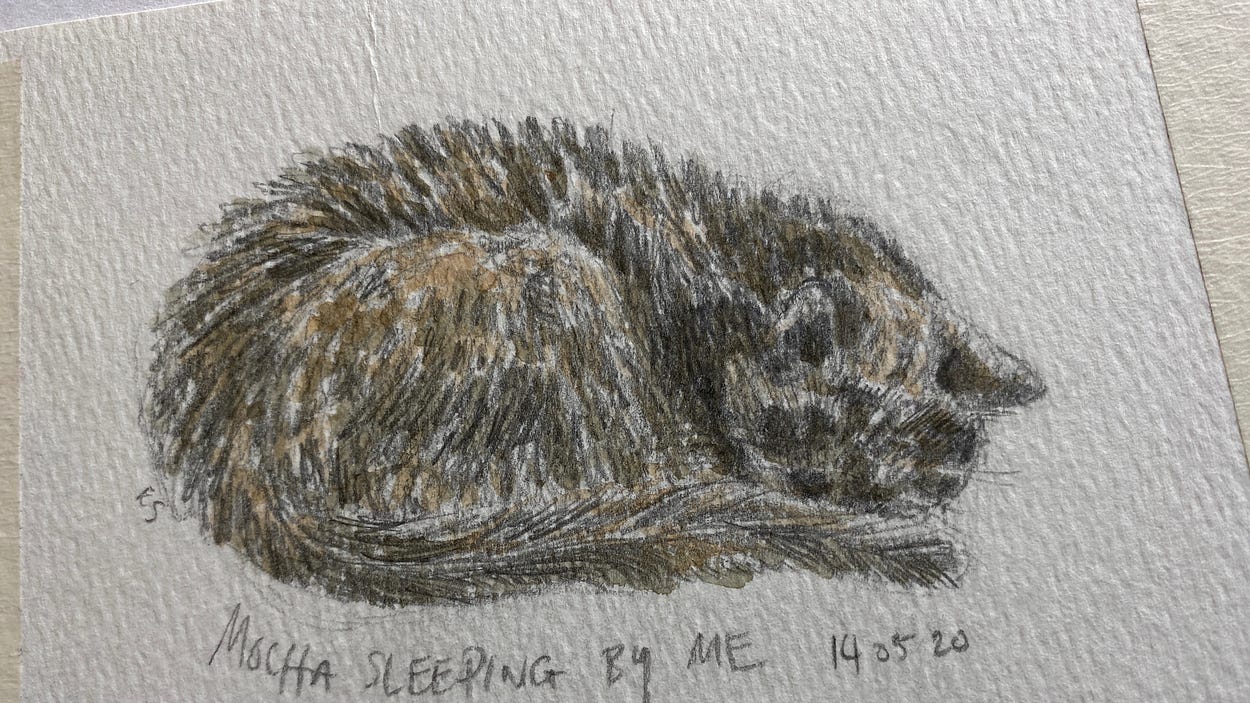 Edinburgh Sketcher | Substack