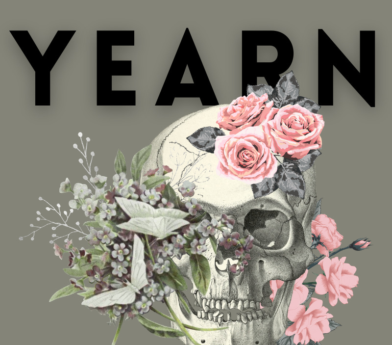 Pretty Evil Fiction | Author Michele Bardsley | Substack