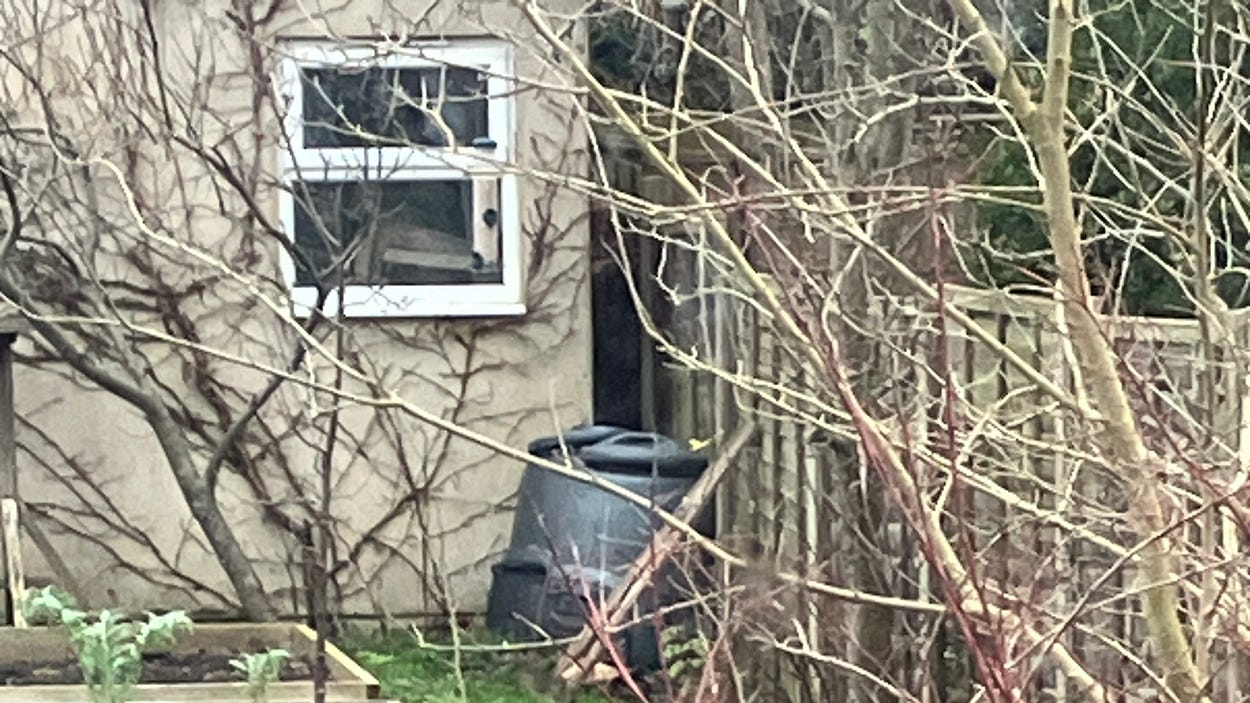 Fundamentalised | Theo Stowell | Substack