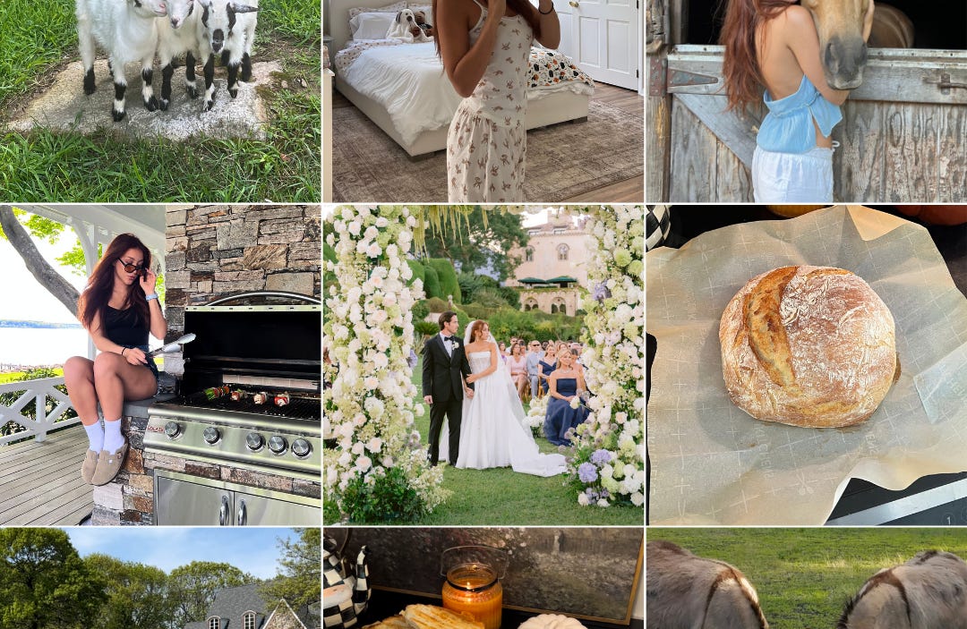 my cozy kitchen | Jessica Costantino | Substack