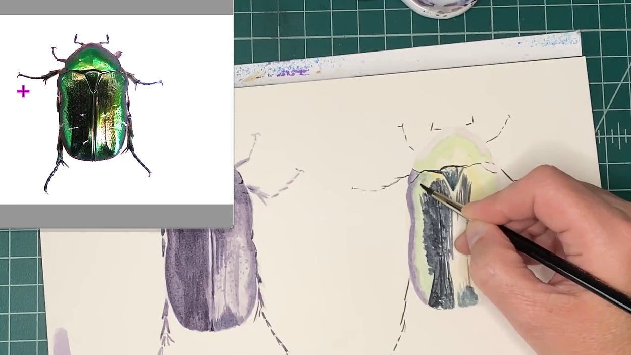 Cricklewood Nature Journal | Susannah Fisher | Substack