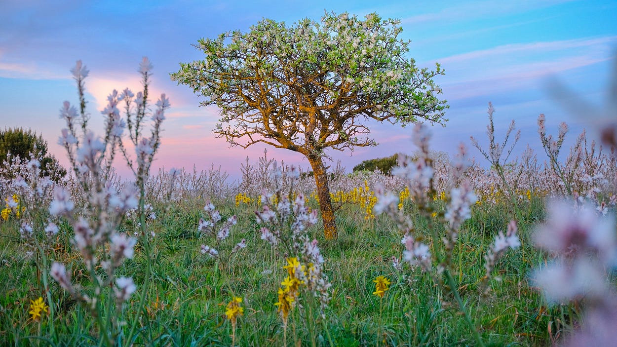 FlakPhoto Digest | Andy Adams | Substack