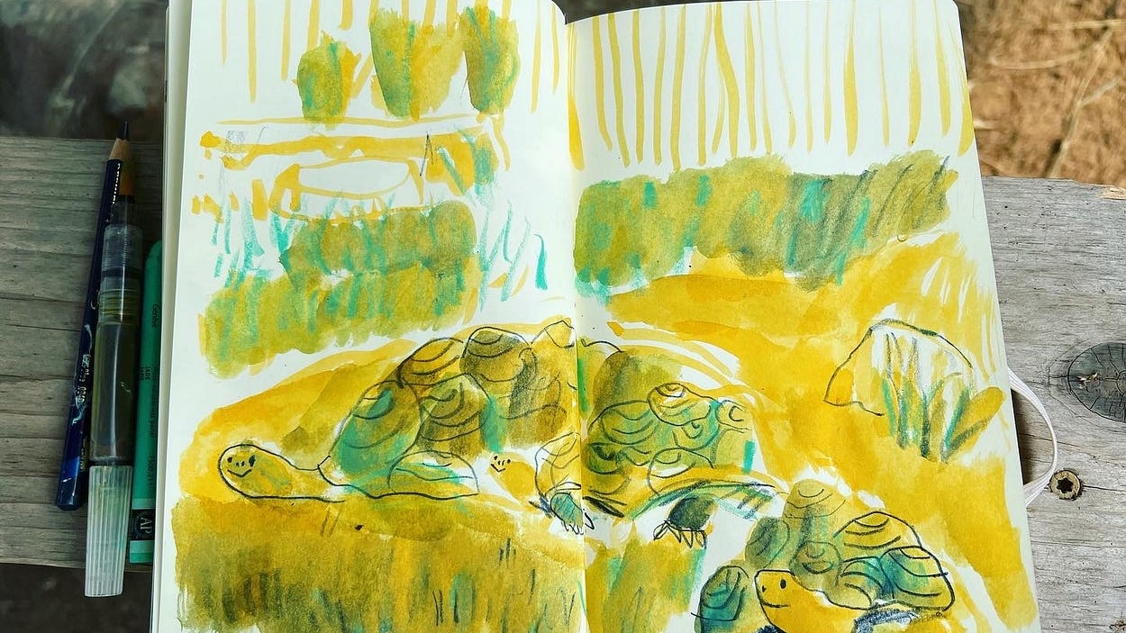 Introvert Drawing Club | Beth Spencer | Substack