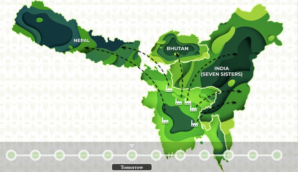 The Insighta | Substack